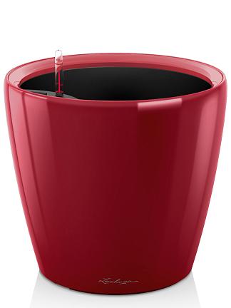 Кашпо Lechuza® (Лечуза) с автополивом - Официальный сайт в России!