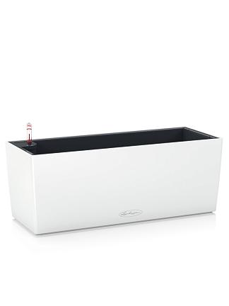 Кашпо Lechuza® (Лечуза) с автополивом - Официальный сайт в России!